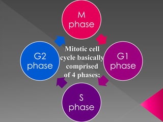 Cell division mitosis | PPTX