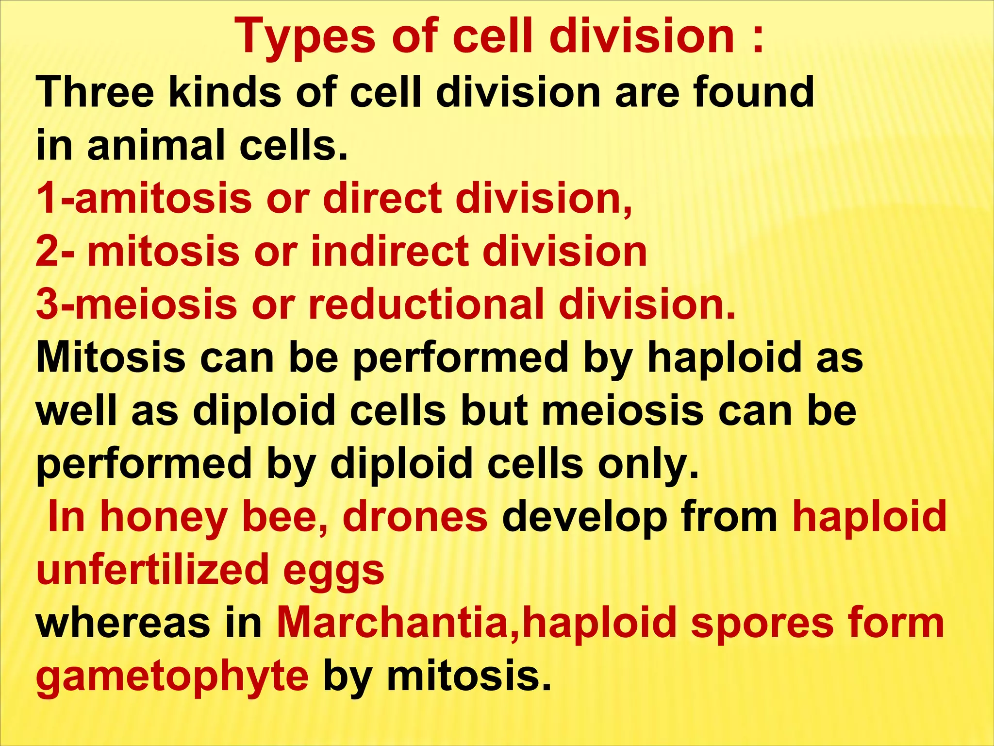Cell division ---Mitosis | PDF