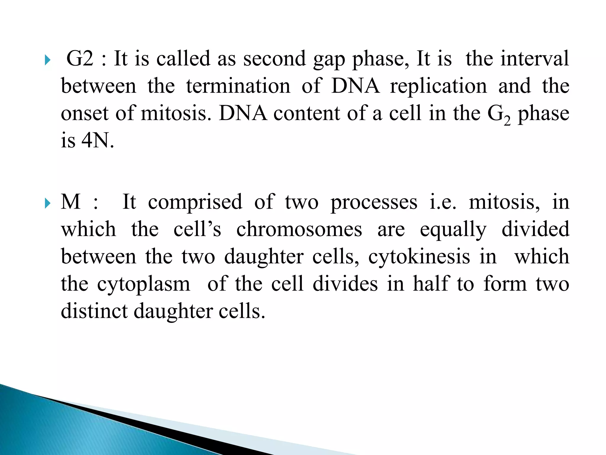 cell division- mitosis.pptx