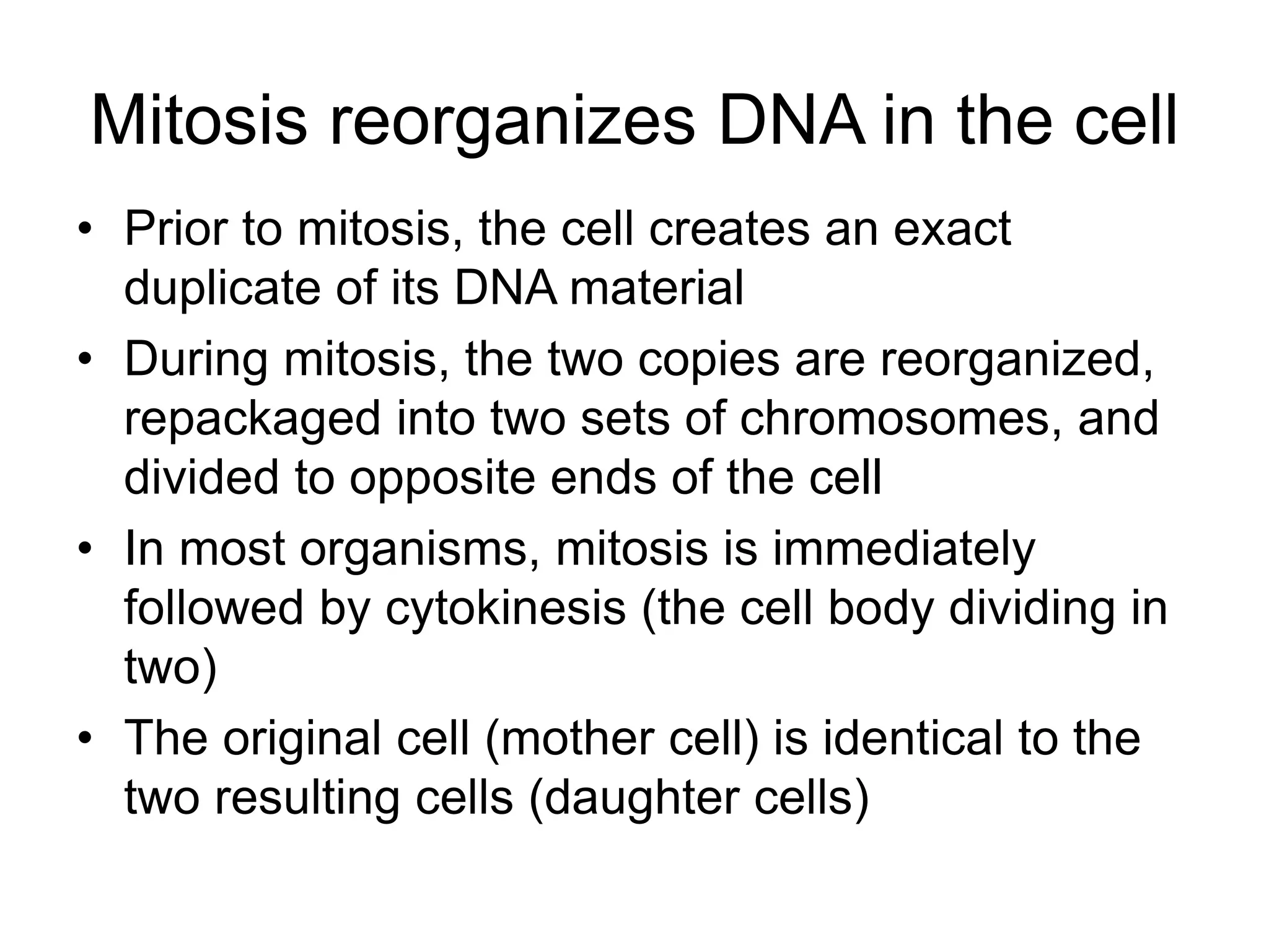 general biology Cell division-mitosis.pdf