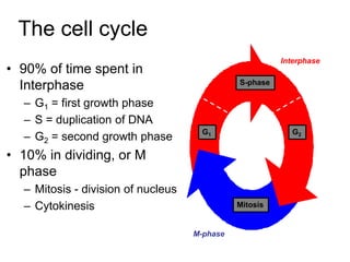 general biology Cell division-mitosis.pdf