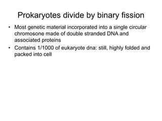 general biology Cell division-mitosis.pdf