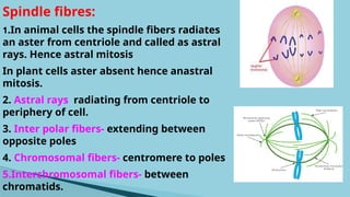 11th cell division -Mitosis- Tarini.pptx