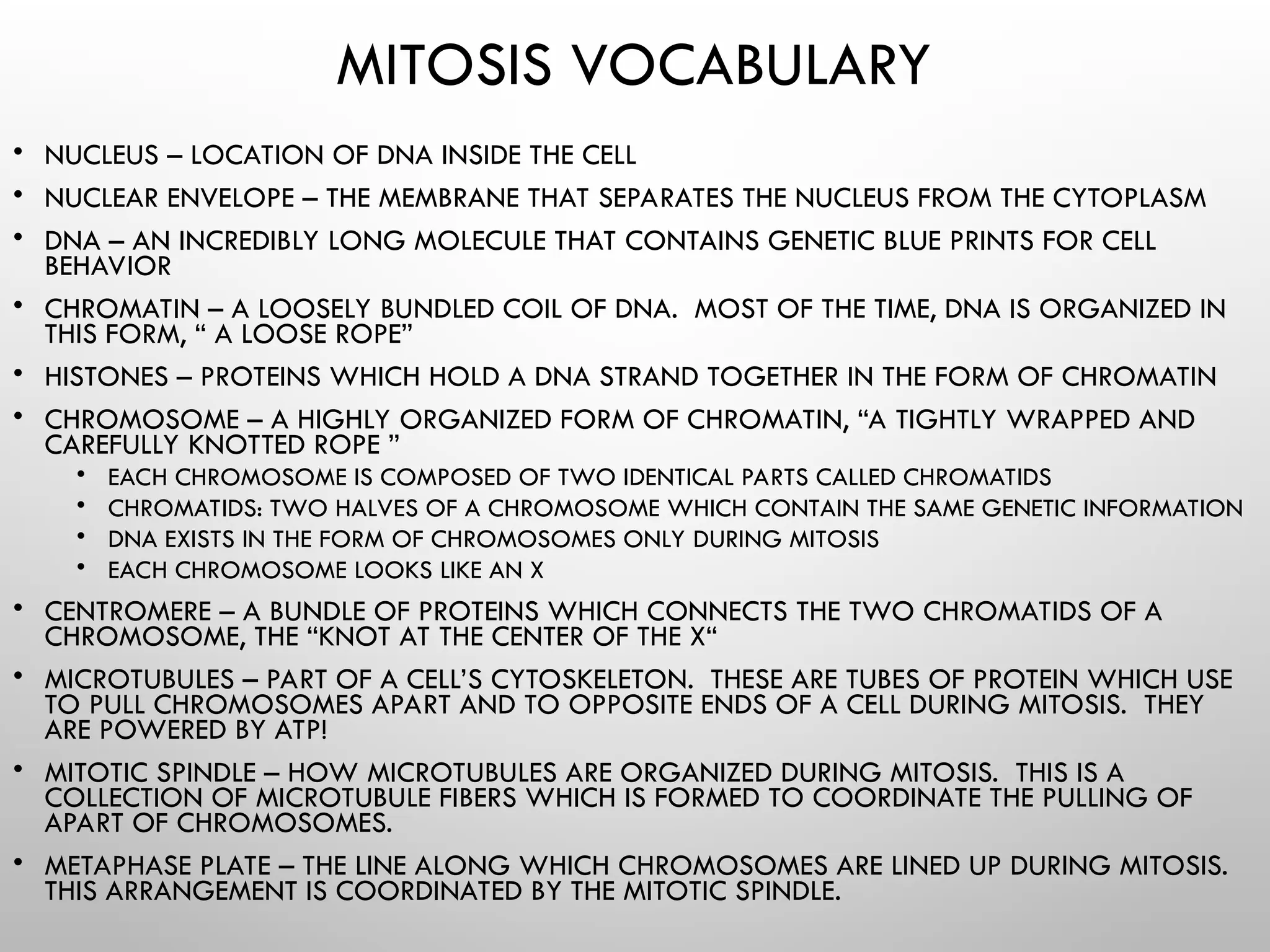 Celldivision- Mitosis.ppt Teaches about Mitosis | PPT