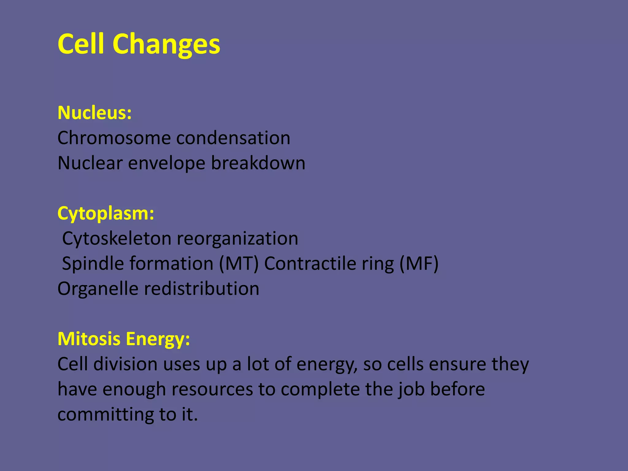 Cell Division-Mitosis- | PPTX