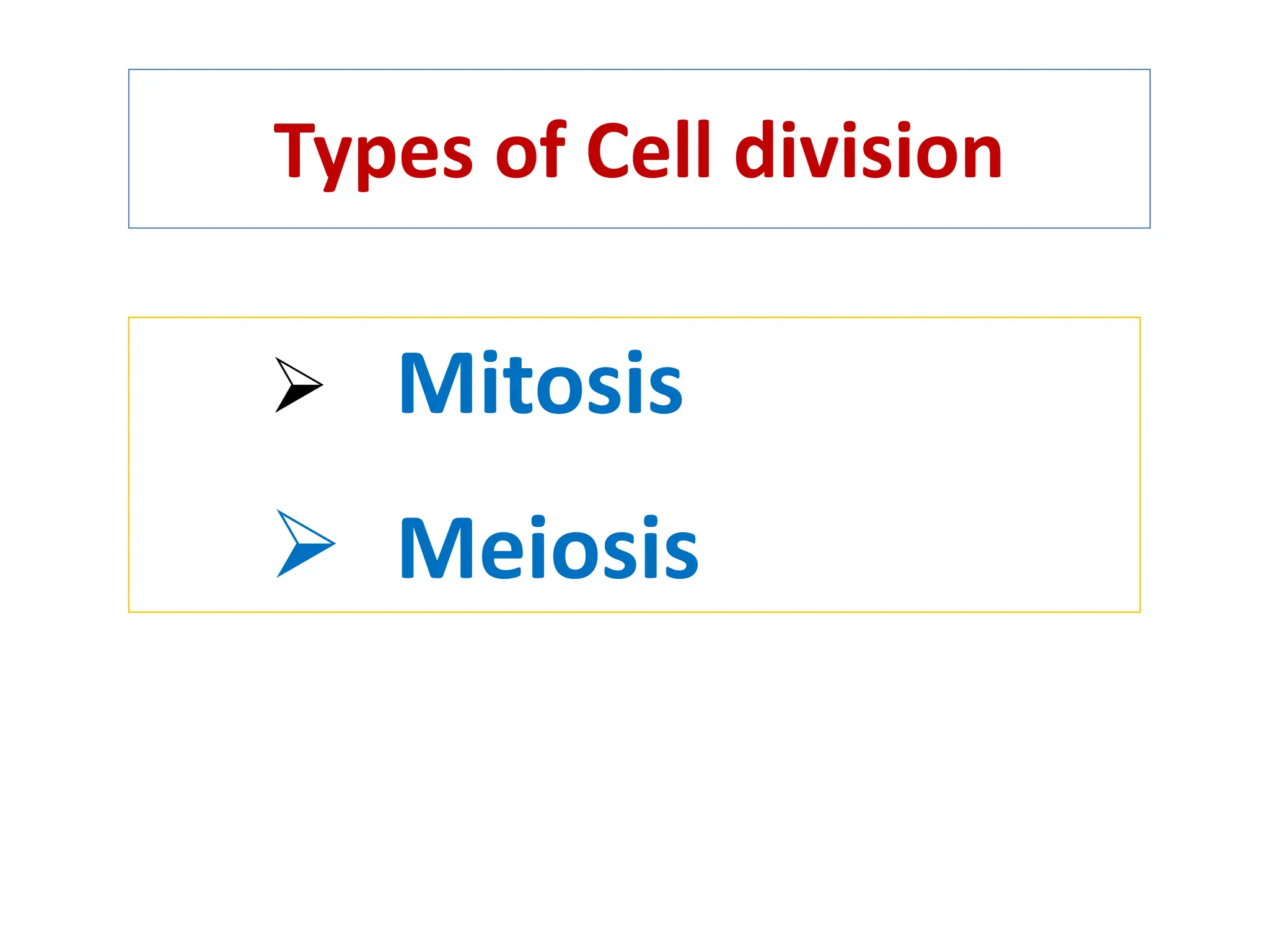cell division - Mitosis in plants final.ppt