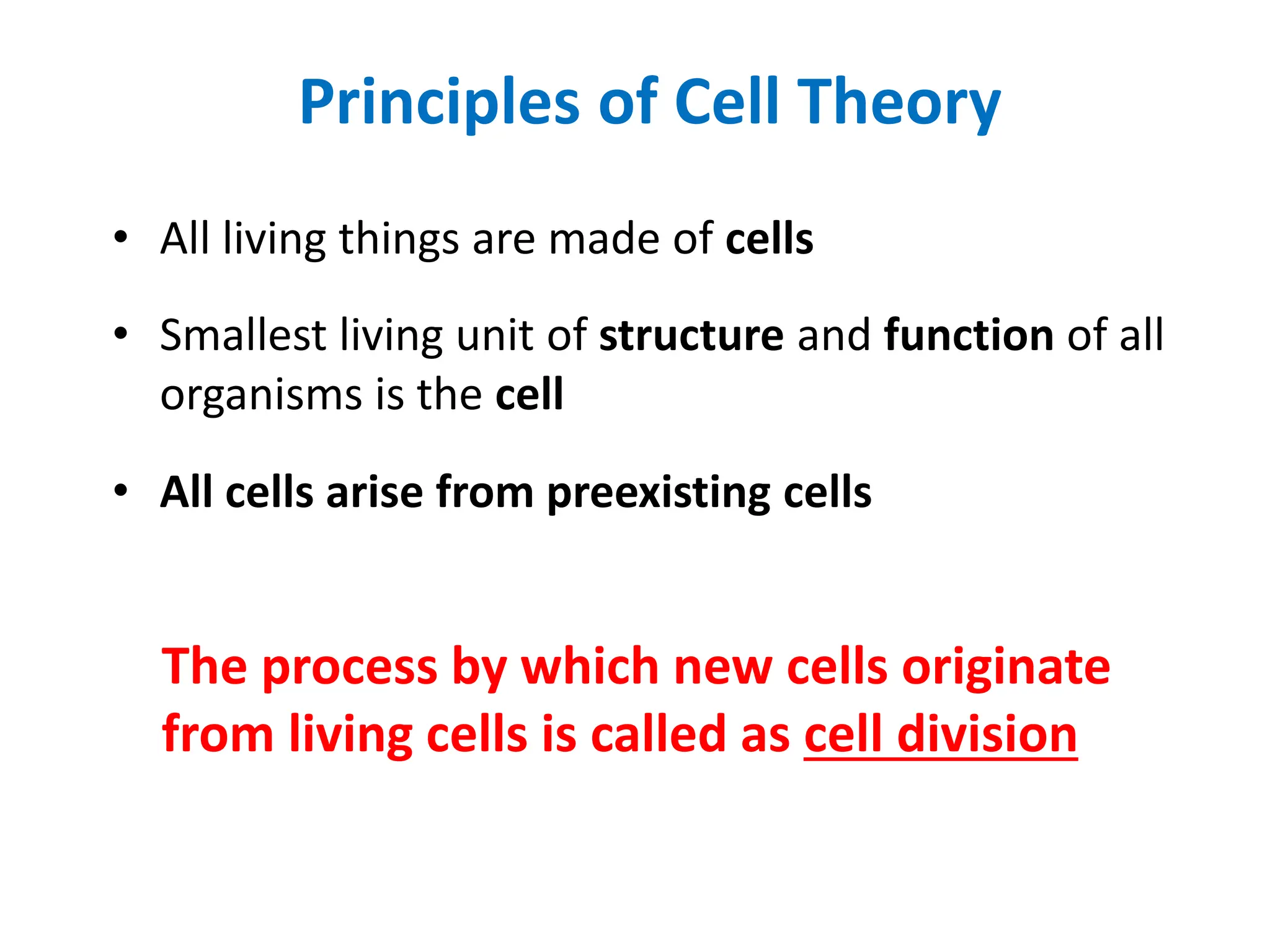 cell division - Mitosis in plants final.ppt