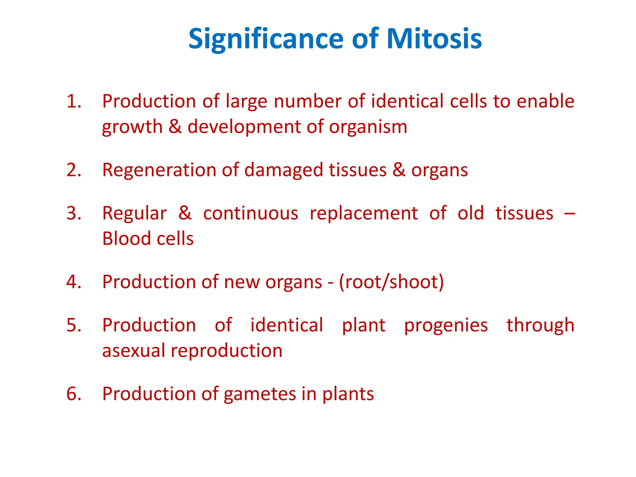 cell division - Mitosis in plants final.ppt