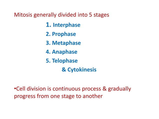 cell division - Mitosis in plants final.ppt | Biological Sciences | Science