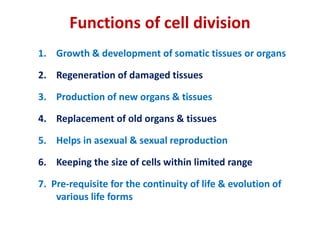 cell division - Mitosis in plants final.ppt