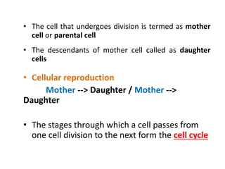 cell division - Mitosis in plants final.ppt