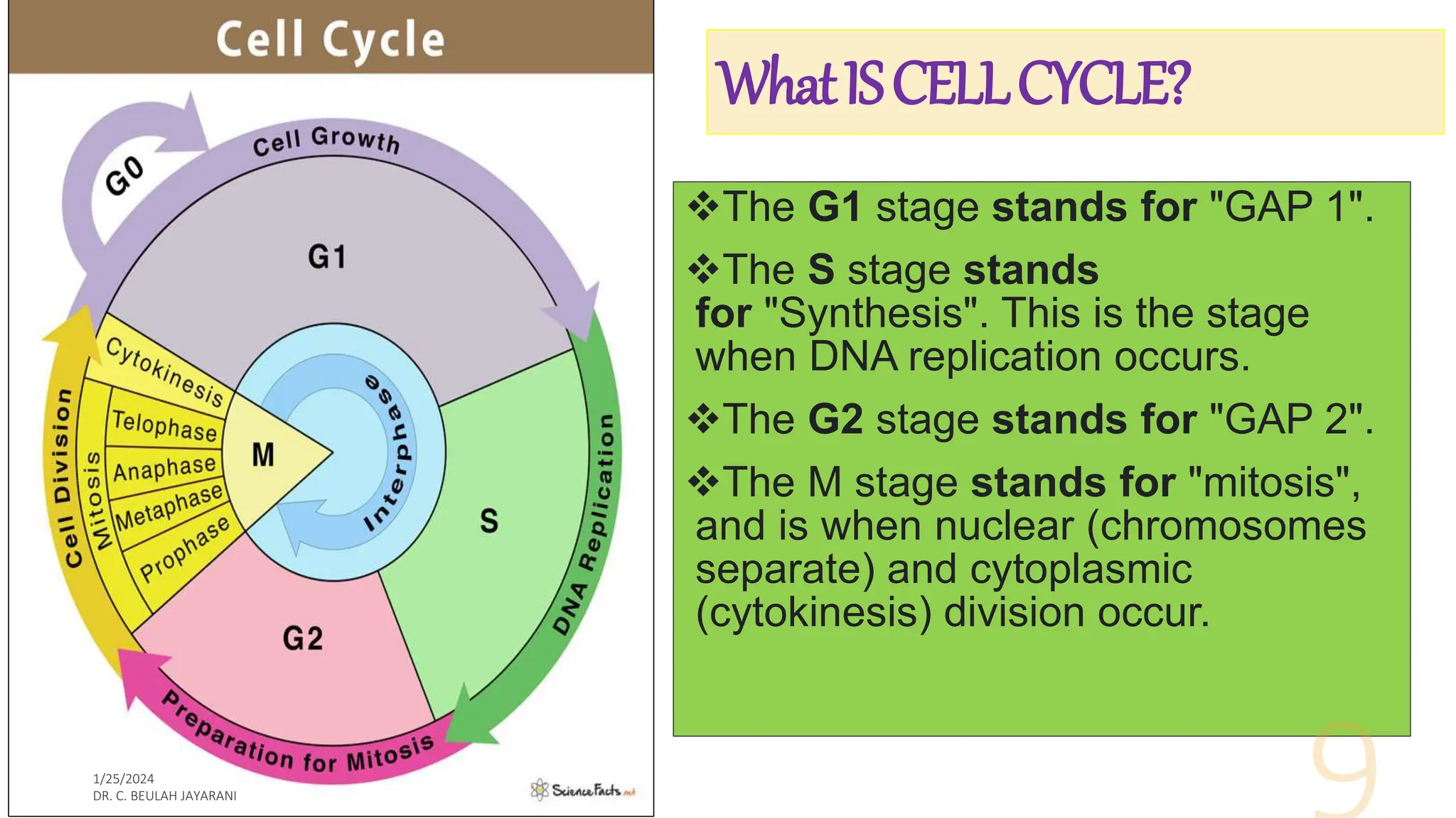 CELL DIVISION - PART - 1.pptx