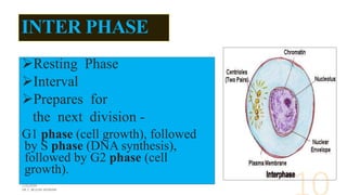 CELL DIVISION - PART - 1.pptx