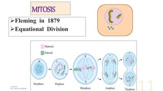 CELL DIVISION - PART - 1.pptx