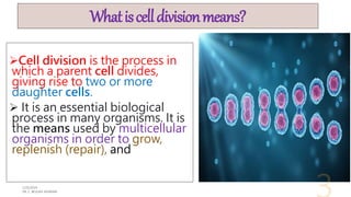 CELL DIVISION - PART - 1.pptx | Biological Sciences | Science