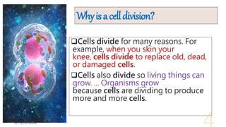 CELL DIVISION - PART - 1.pptx | Biological Sciences | Science