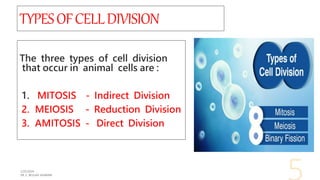 CELL DIVISION - PART - 1.pptx | Biological Sciences | Science