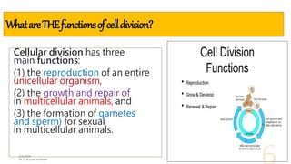 CELL DIVISION - PART - 1.pptx | Biological Sciences | Science