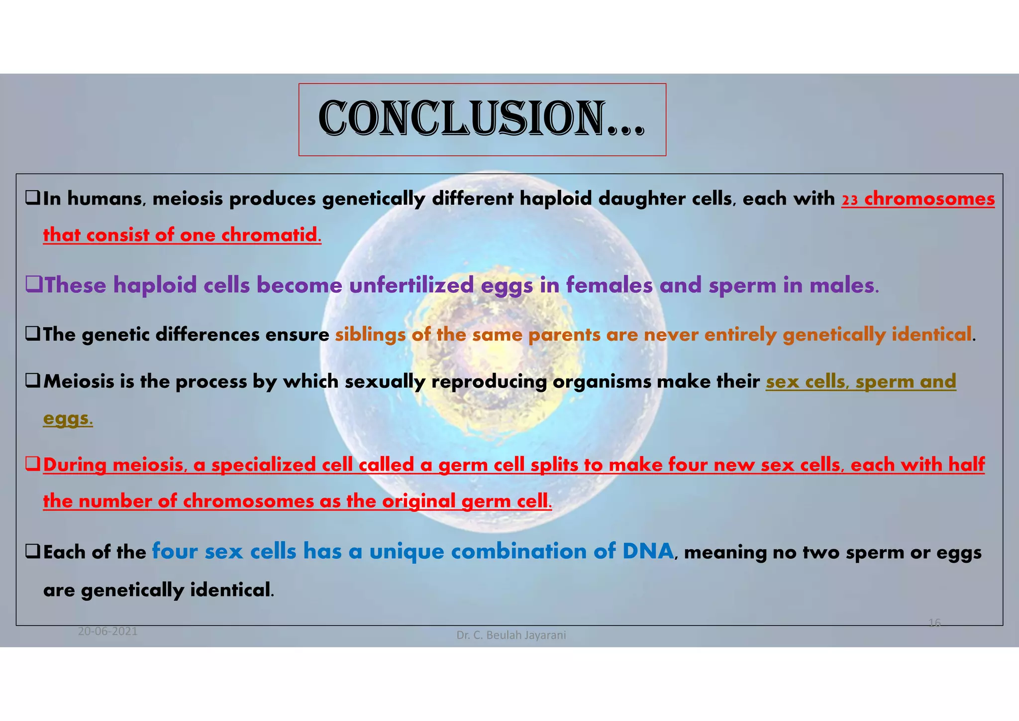 Cell division part - 2 - meiosis | PDF