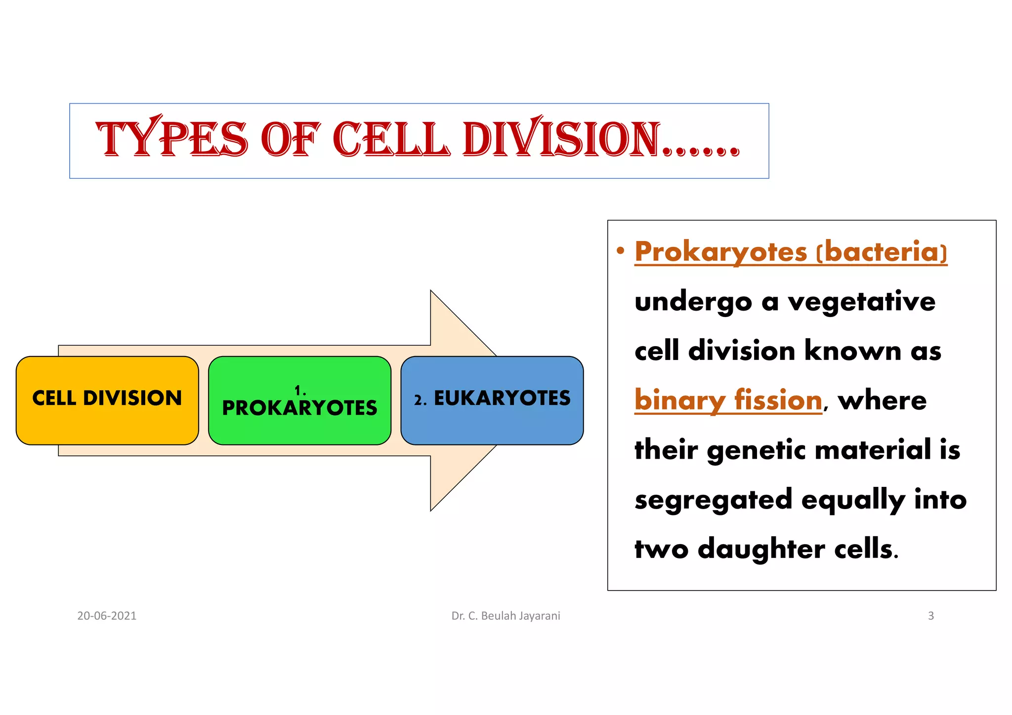 Cell division part - 2 - meiosis | PDF
