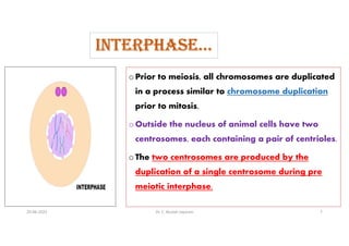 Cell division part - 2 - meiosis | PDF