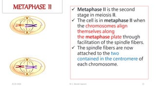 CELL DIVISION- PART - 2 -MEIOSIS.pptx