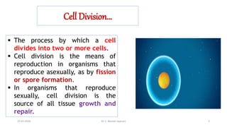 CELL DIVISION- PART - 2 -MEIOSIS.pptx
