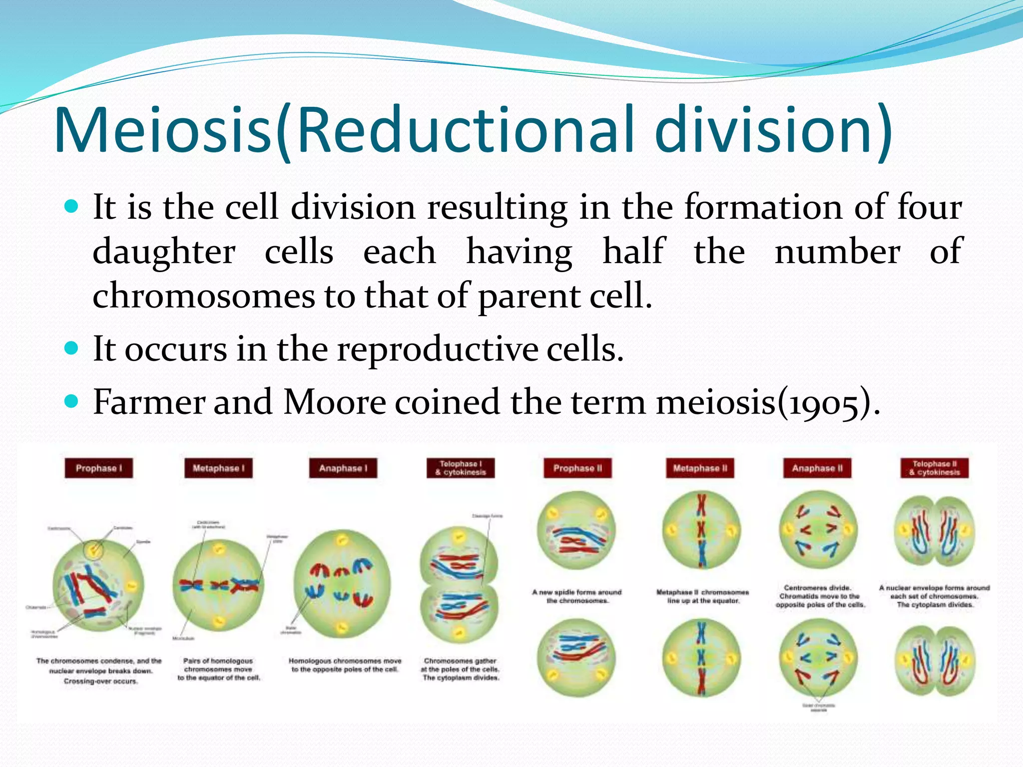 Cell division | PPTX