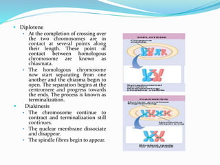 Cell division | PPTX