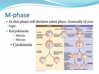 Cell division | PPTX