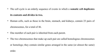 Cell Division (Somatic & Reproductive Cell Division) | PPTX