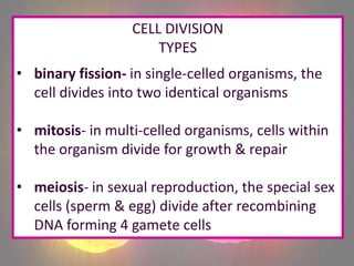 Cell division 1 mitosis | PPTX