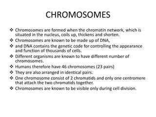 Life Science Grade 10-Cell Division | PPTX