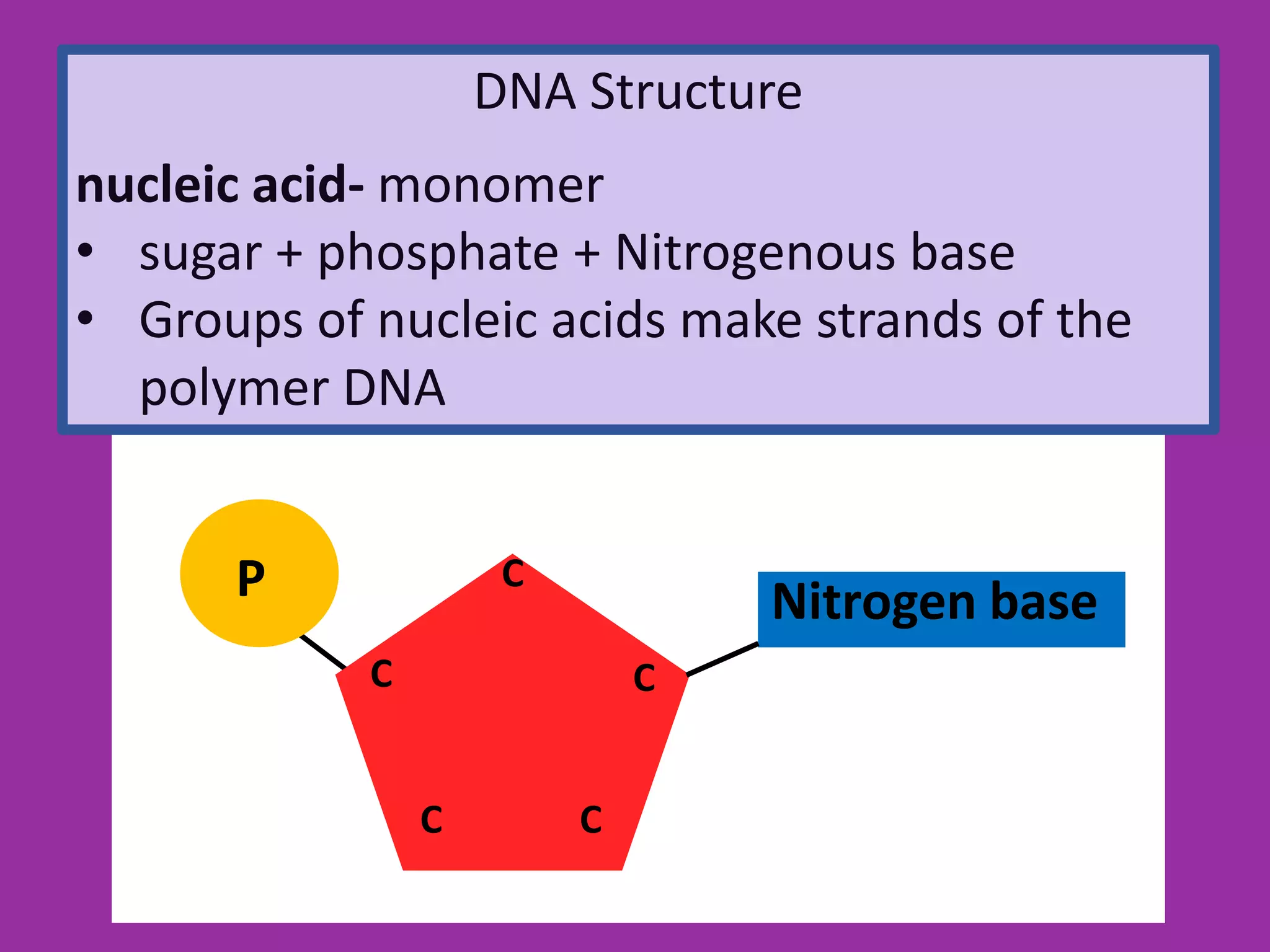 Cell division 2 DNA Replication | PPTX