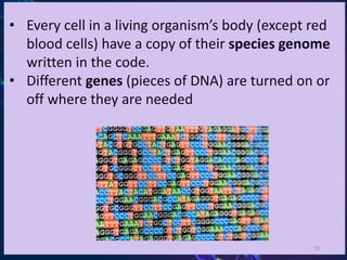 Cell division 2 DNA Replication | PPTX
