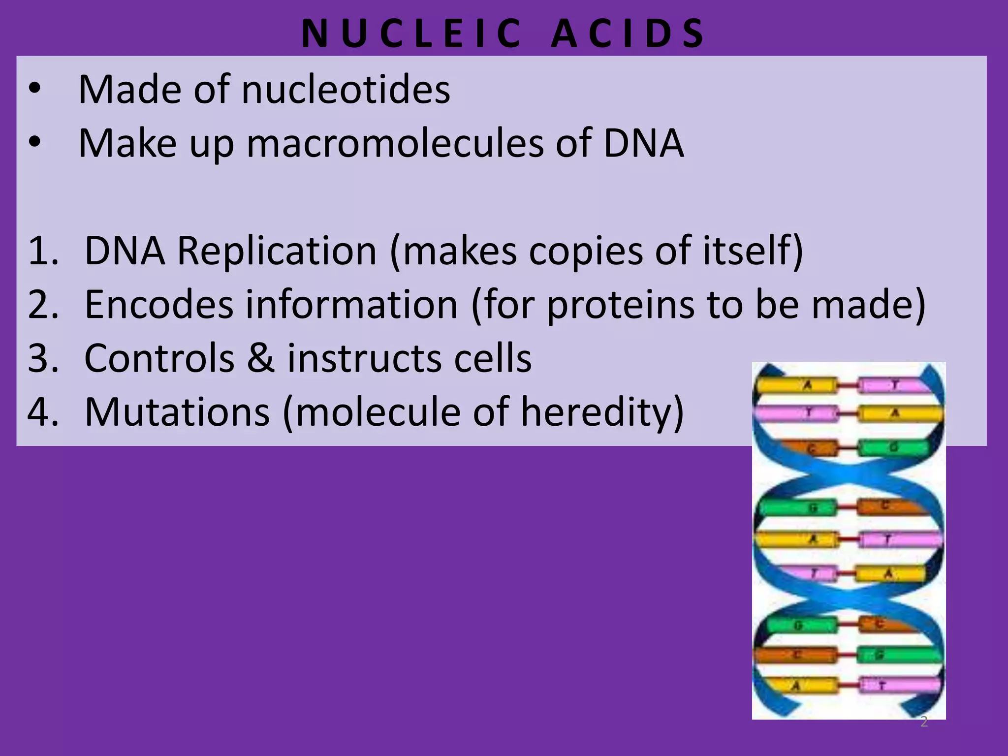 Cell Division 2 DNA Replication | PPT
