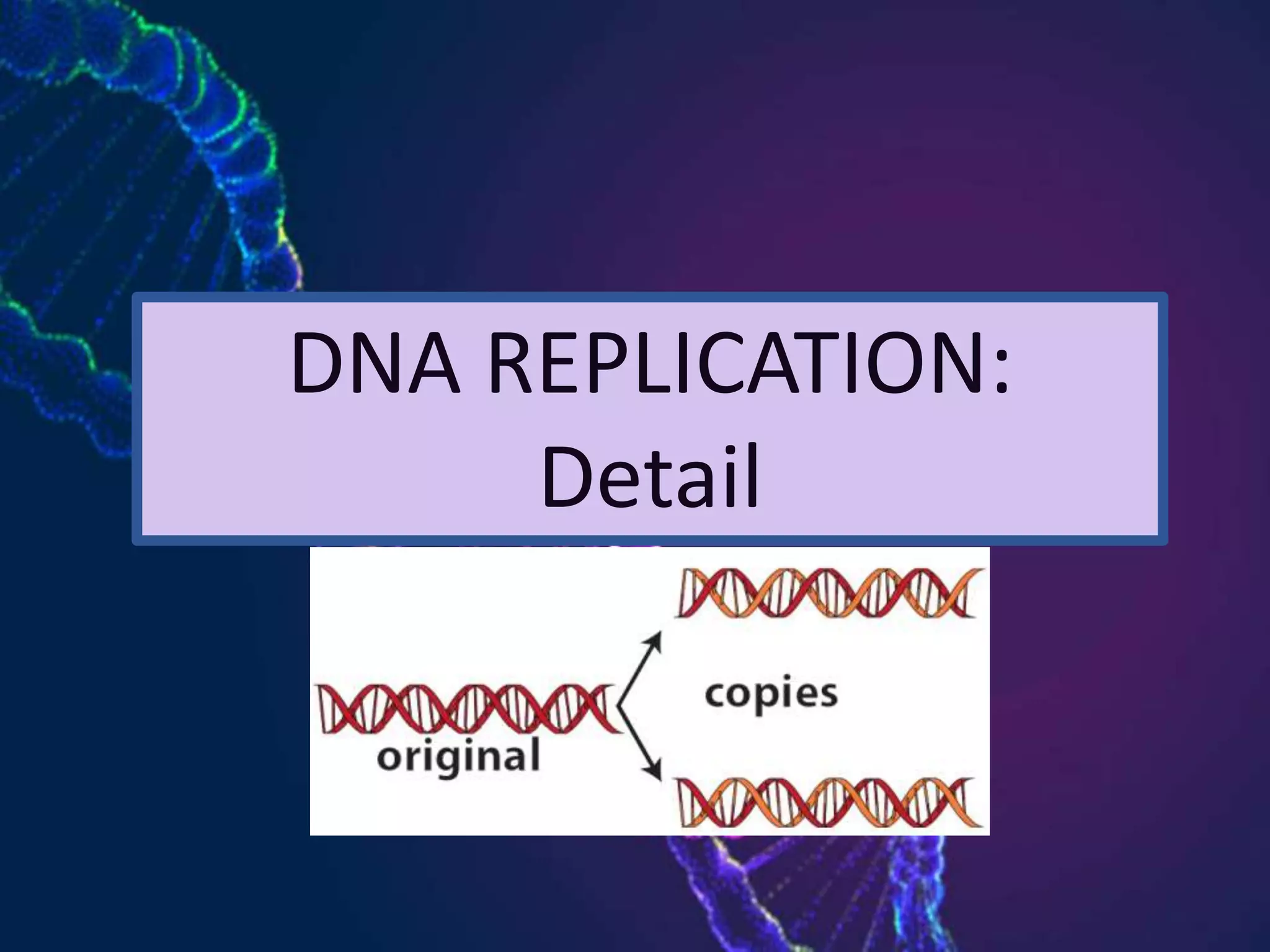 Cell Division 2 DNA Replication | PPT