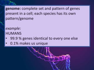 Cell Division 2 DNA Replication | PPT