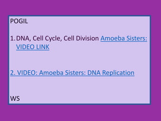 Cell division 2 DNA Replication | PPTX