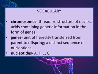 Cell division 2 DNA Replication NOTES | PPTX | Biological Sciences ...