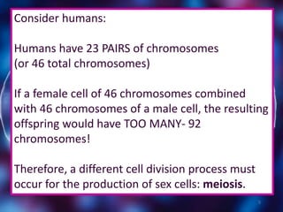 Cell division 2 Meiosis | PPTX