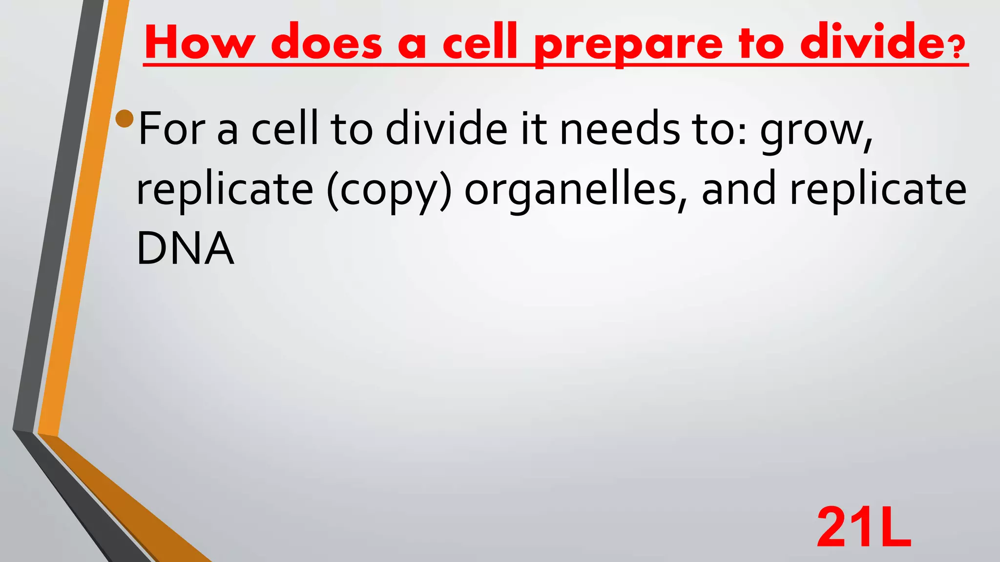 Cell division 7th | PPTX