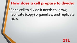 Cell division 7th | PPTX