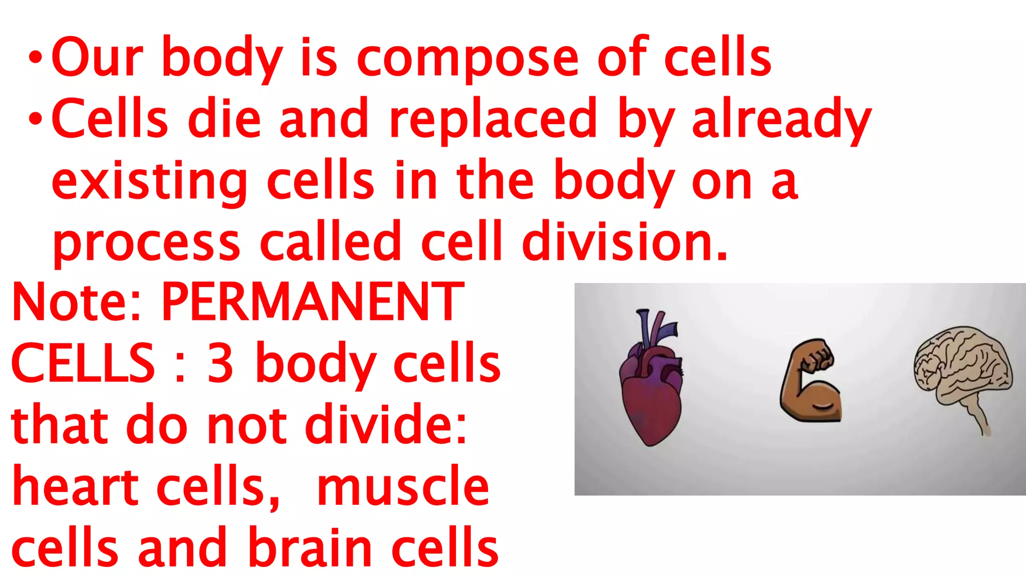 Cell division : mitosis and meiosis | PPTX