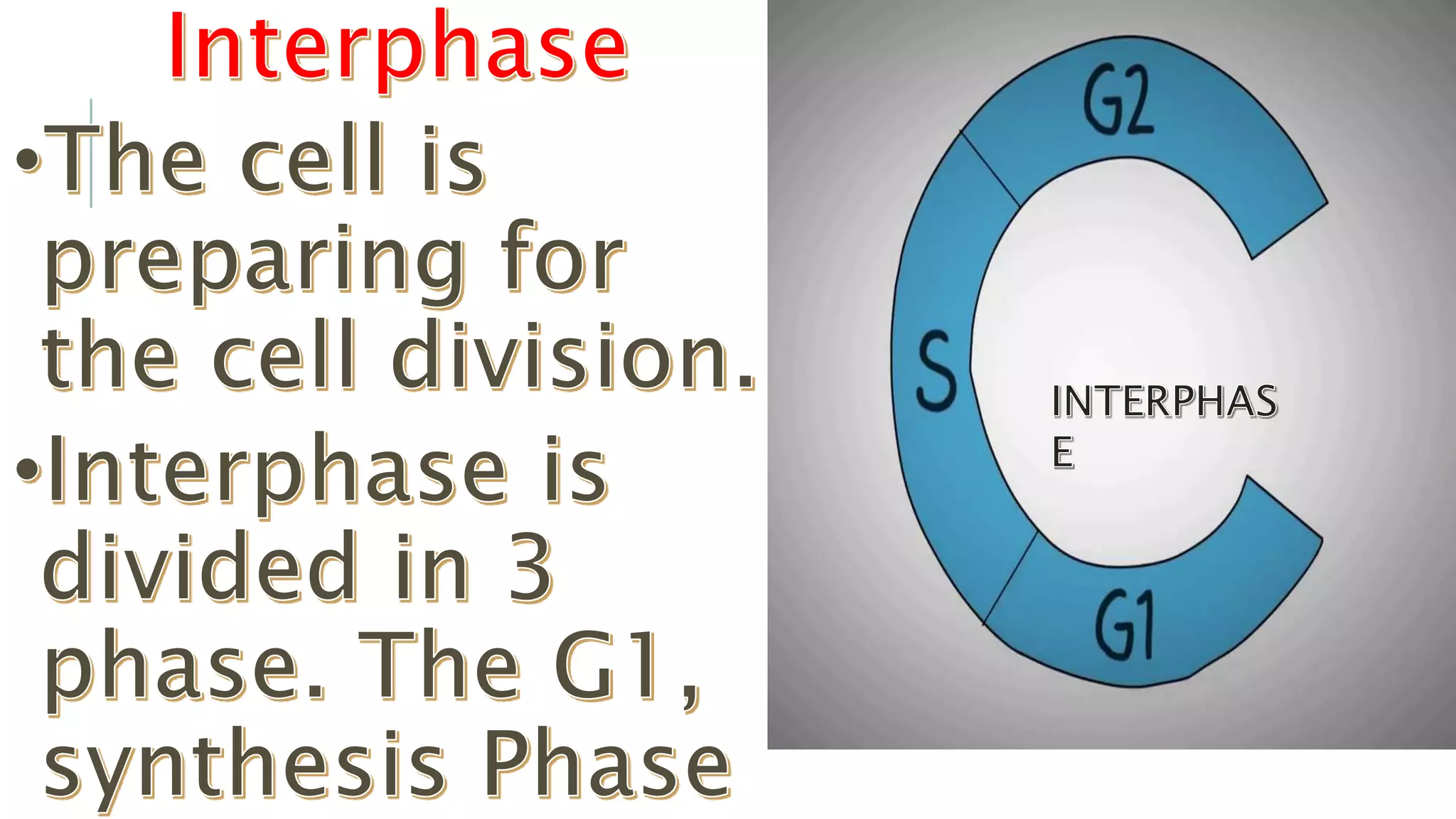 Cell division : mitosis and meiosis | PPT