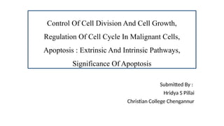 cell growth, division and apoptosis.pptx