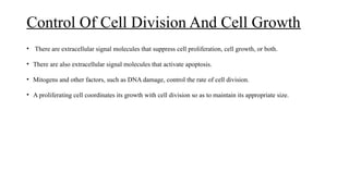 cell growth, division and apoptosis.pptx