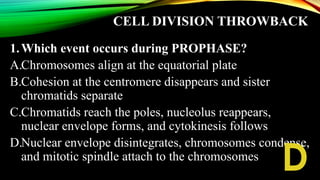 CELL DIVISION AND DISEASES IN MALFUNCTION OF CELL.pptx