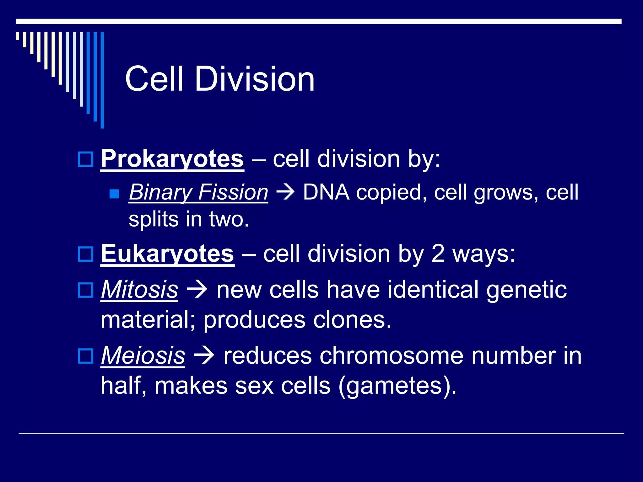 Cell division and dna | PPT
