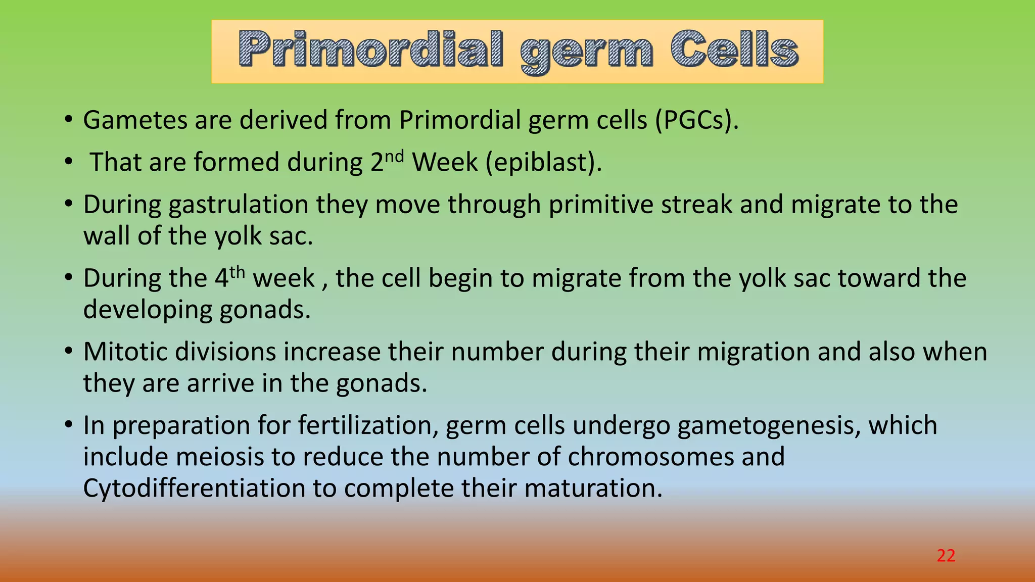 Cell division and gametogenesis | PPTX